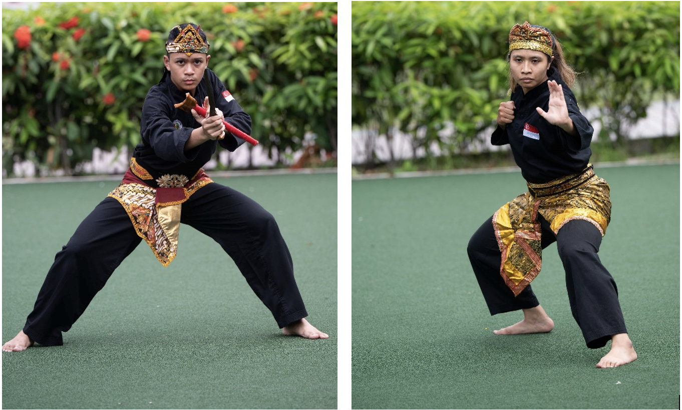 Sport & Art of Silat: Watering the Flower